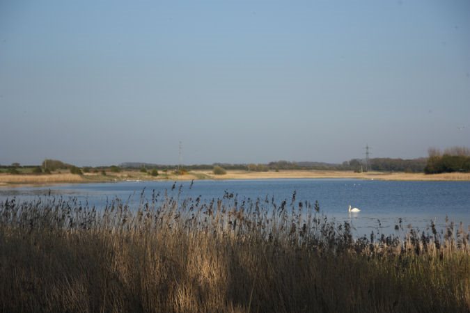 Marton Mere local nature reserve